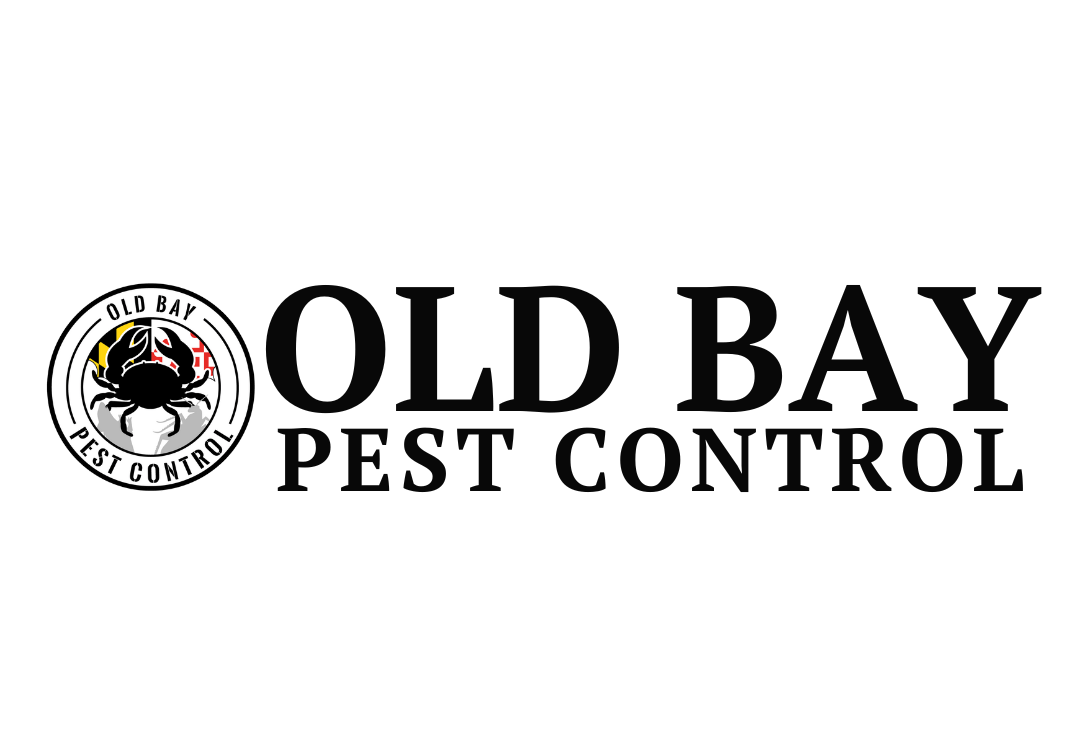 Contact Us | Old Bay Pest Control